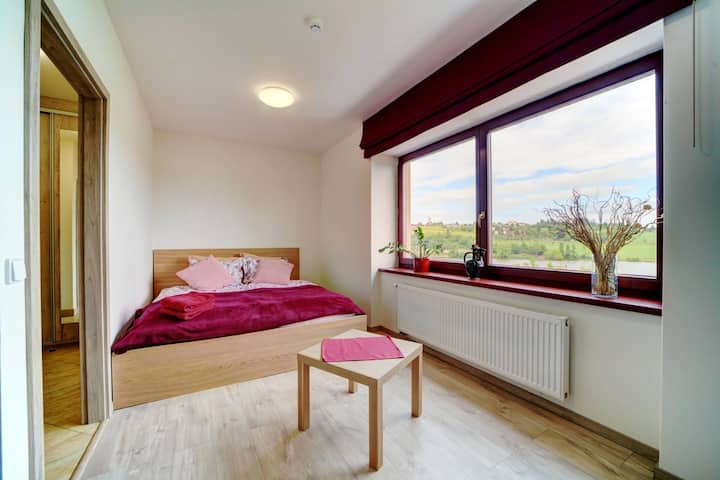 Hotel Zlechov - Větší Pokoj č. 1 - Prostějov