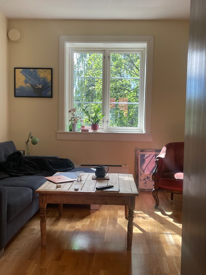 Hjemmekoselig I Uelands Gate Ved Sagene - Oslo