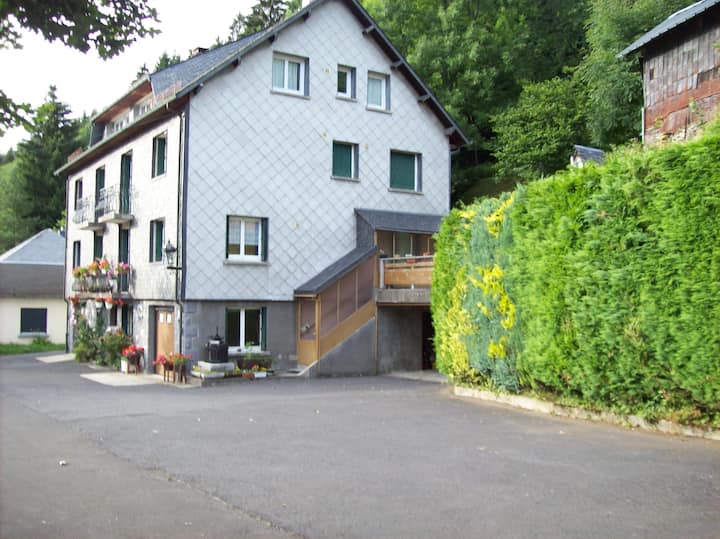 Location De Dernière Minute - Mont-Dore