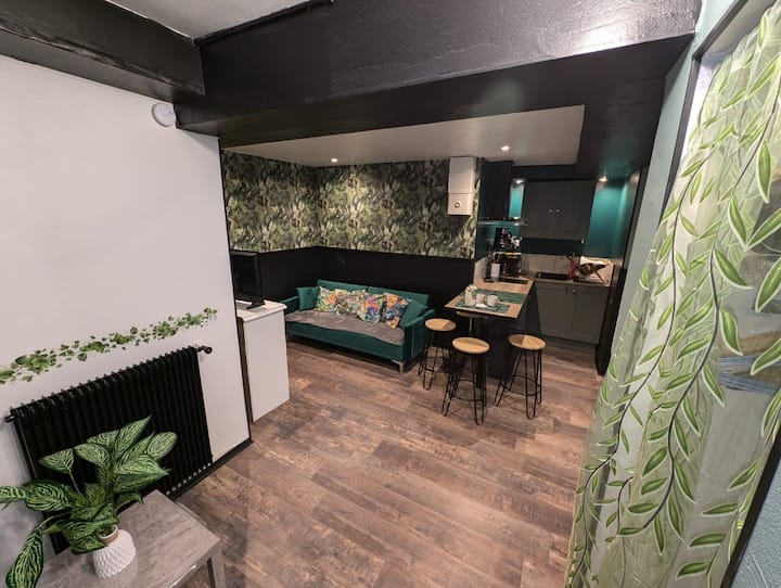 Studio Avec Terrasse Et Jardin - Évian-les-Bains