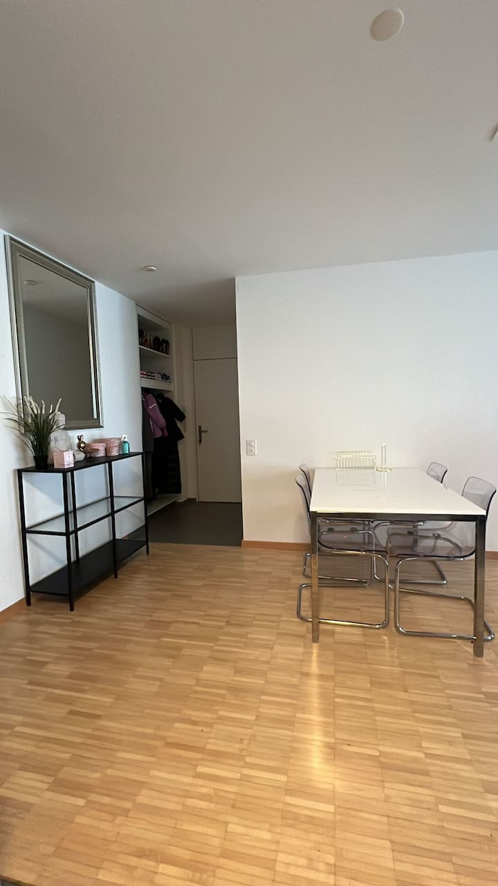 Gemütliche Wohnung In Basel - Basel