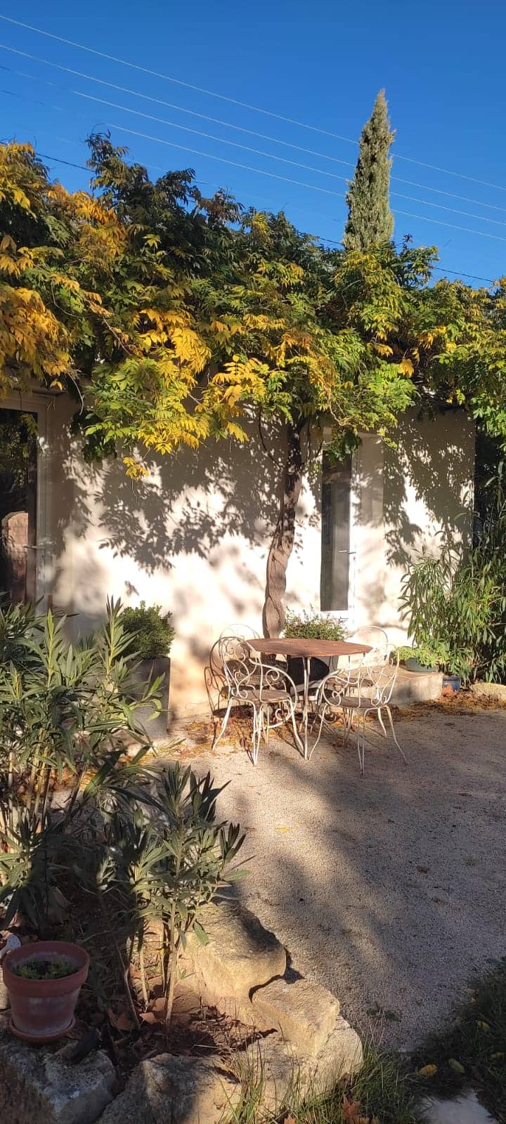 Treilles De Provence, La Glycine - Villeneuve-lès-Avignon