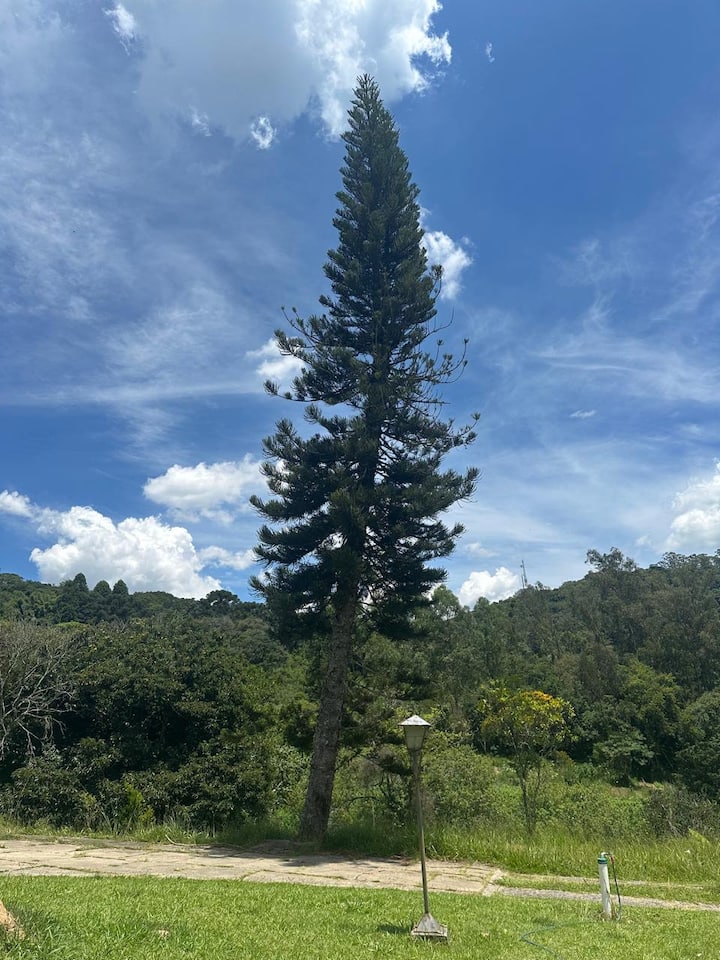 Sítio Em São Roque Alto Da Serra - Ibiúna