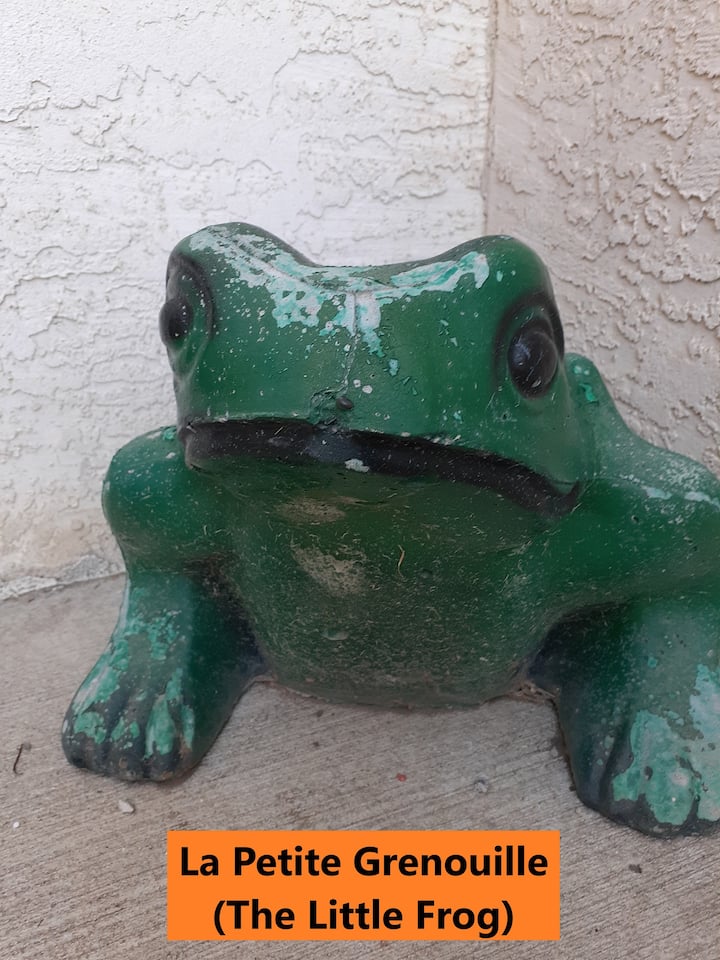 The Little Frog - Lethbridge