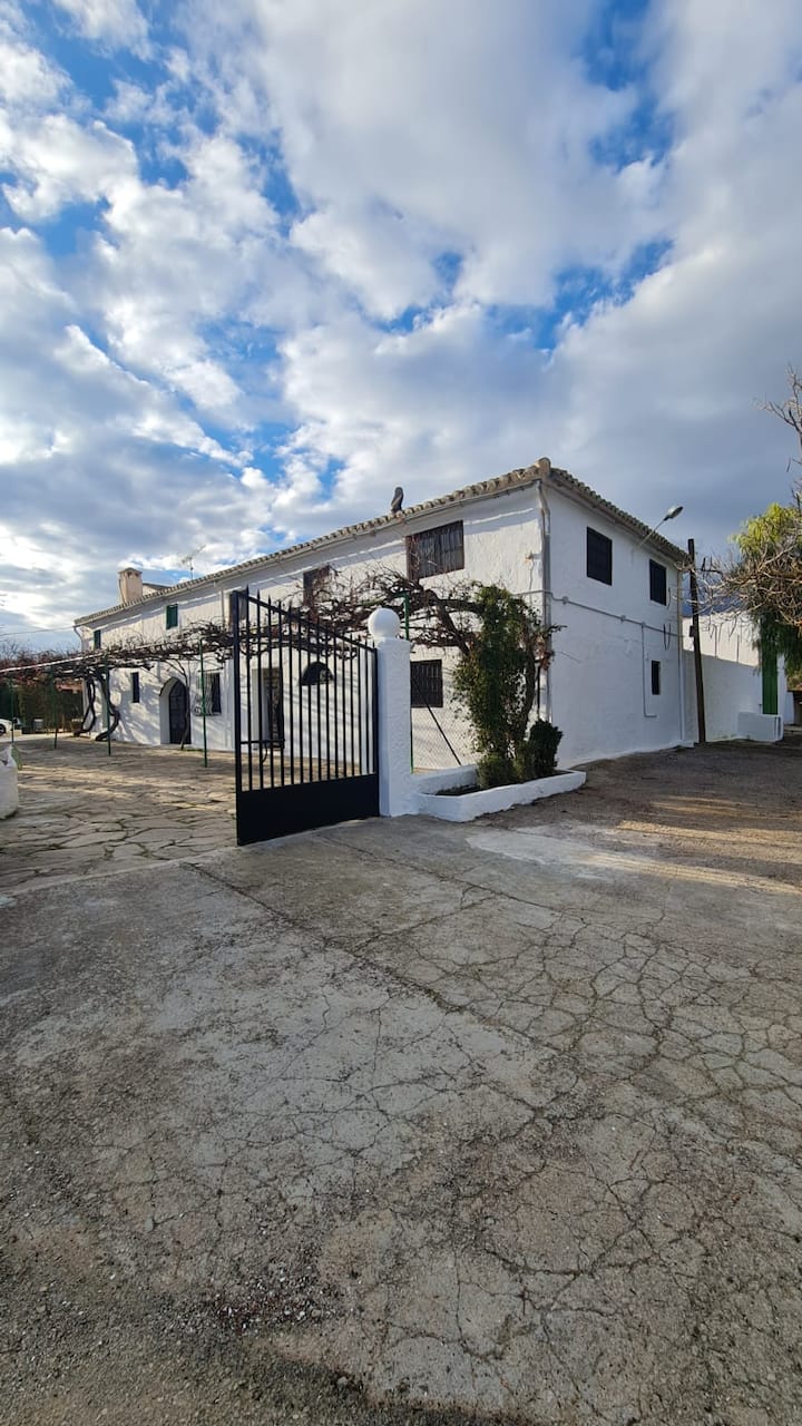 Cortijo Albornoz - Riofrío