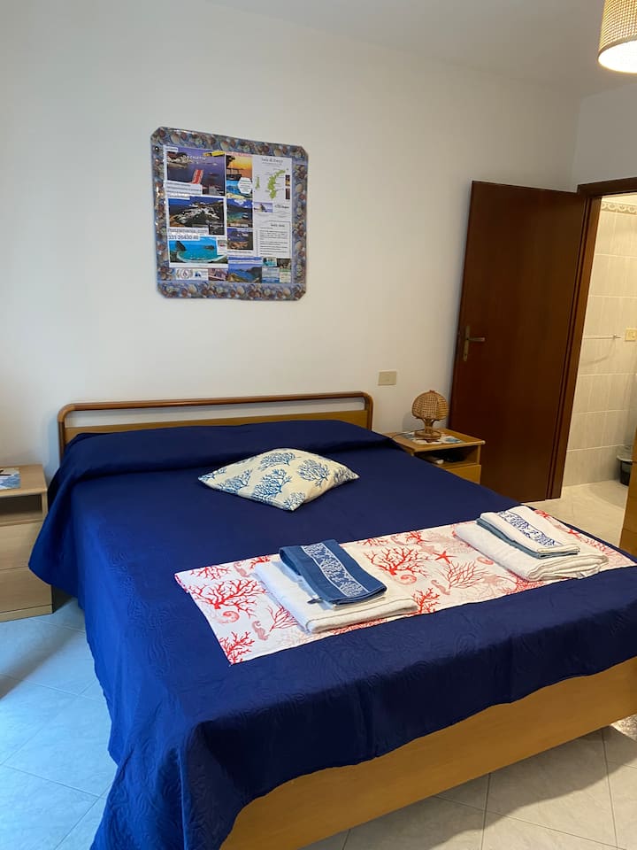 Ponzamania Conchiglia Marina - Ponza