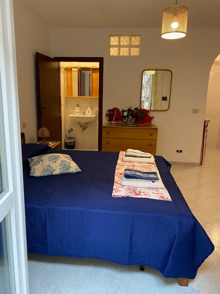 Ponzamania Conchiglia Marina - Ponza