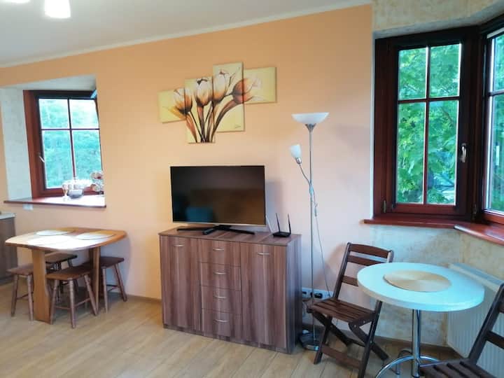 Willa Hania Apartament 12 Sun&snow - Krynica Morska