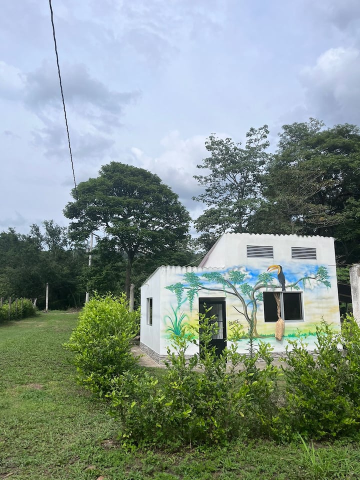 Cabaña Sauce Luisyana - Villeta