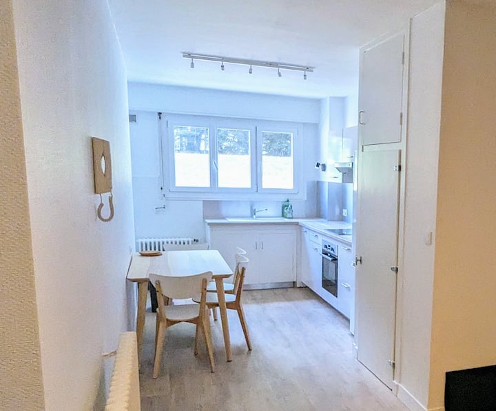 Appartement 2 Chambres Lyon Au Calme - Lyon