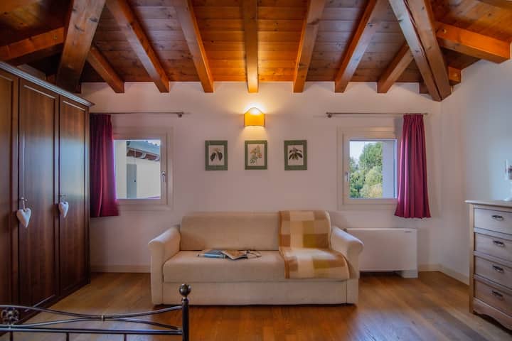 Appartamento Monolocale - Portogruaro