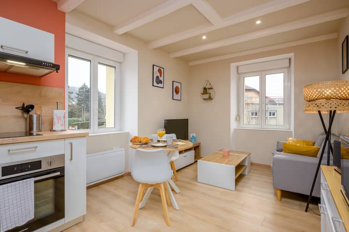 *Le 61*gregimmo*appart'hôtel - Montbéliard