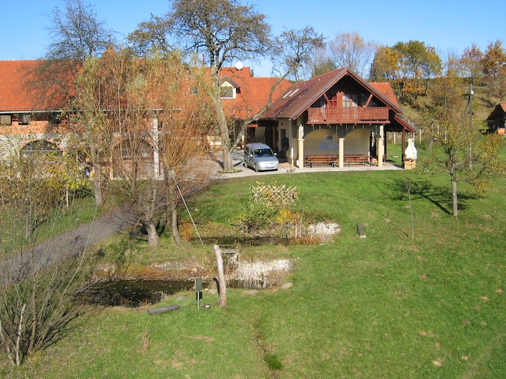 Apartma Mačica Na Kmetiji ČEbelji Gradič - Slovénie