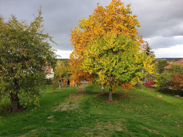 Ferienbungalow Im Obstgarten - Waltershausen