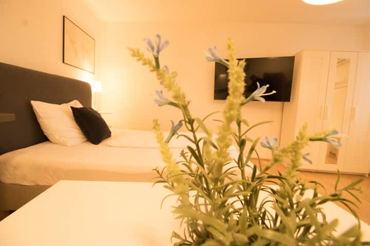 Your Home In Vienna | Lf41a - Viena