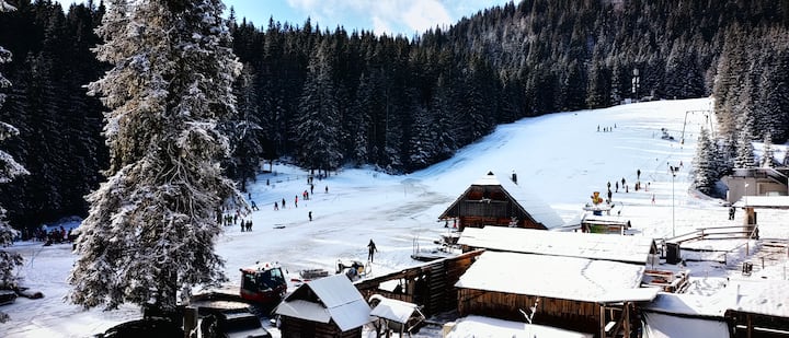 Chalet Stara Jelka Pokljuka - Bled