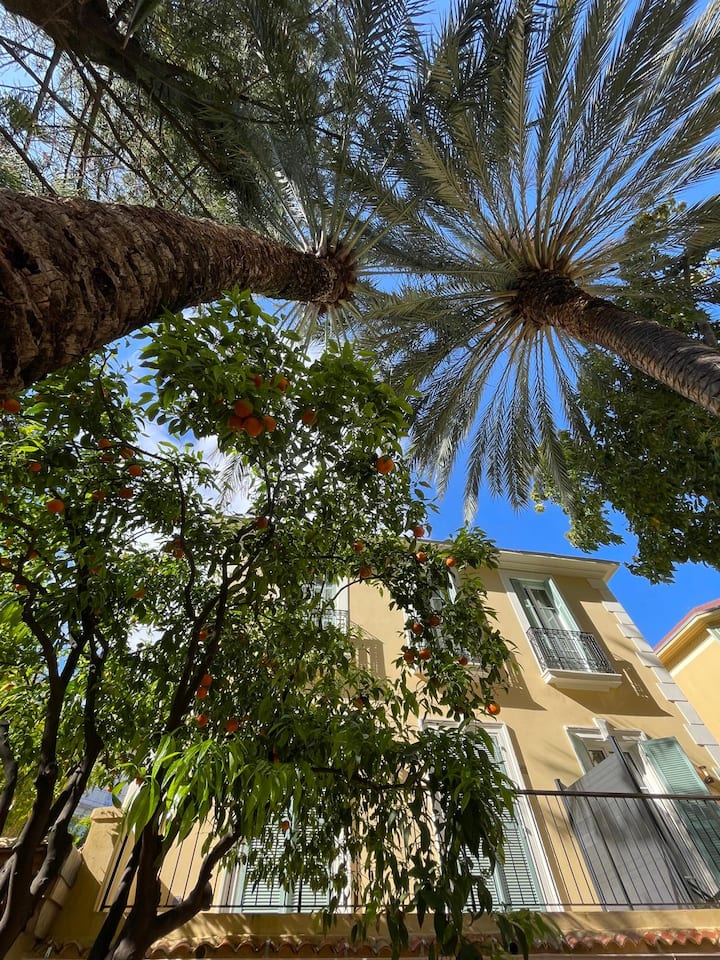 Sous Les Agrumes - Nizza