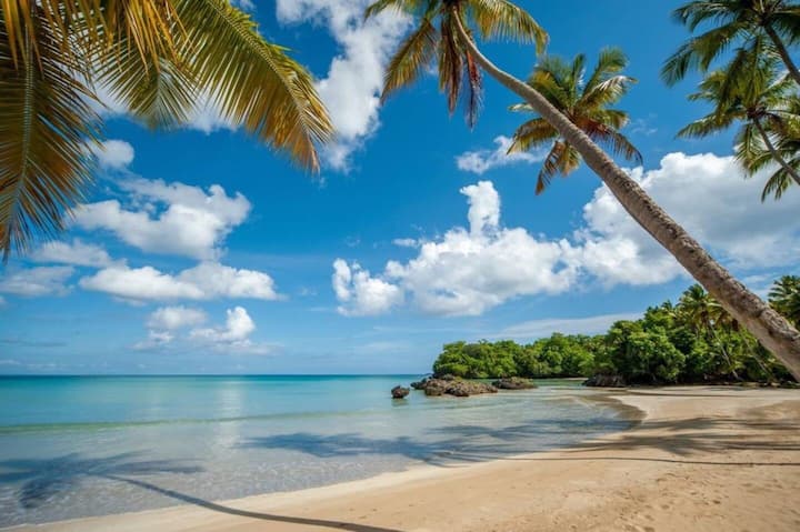 Playa Bonita 4bd Penthouse + Spa - Dominican Republic