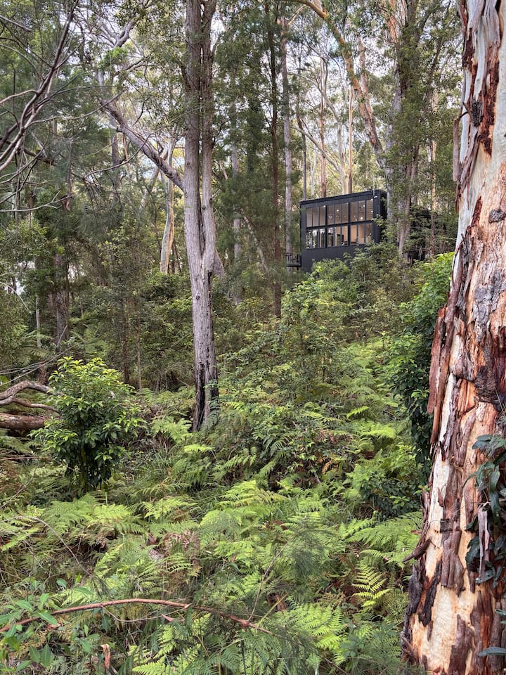 The Treehouse - Mullumbimby