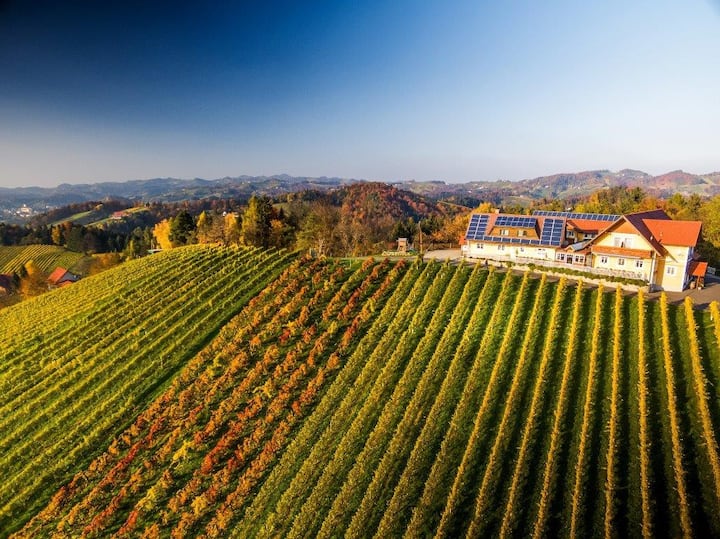 Ferienhaus Mit Bester Aussicht - Maribor