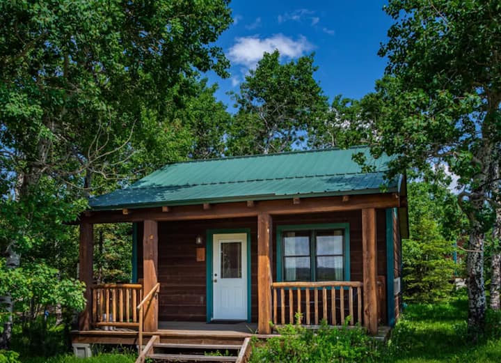 Rustic 1 Bed Cabin By Two Medicine Lake: Cabin 3 - East Glacier Park, MT