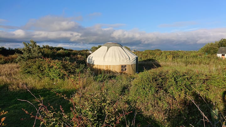 Primrose - Large Yurt - Salcombe