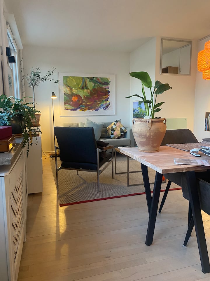 Rooftop Apartment View To Old City Towers - Copenhagen