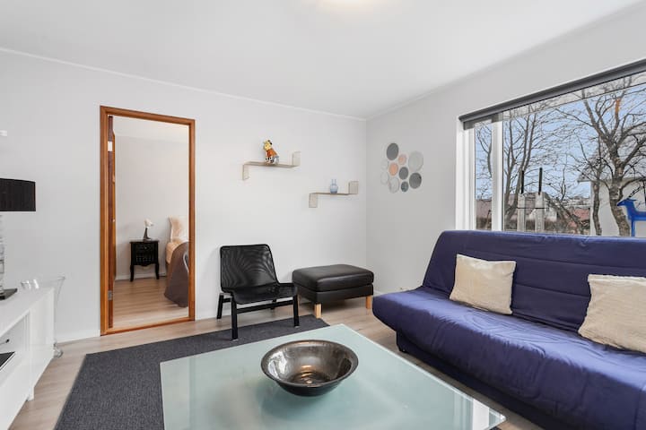Very Cosy Two Bedroom Apartment - Islande