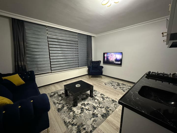 Silver House - Ancara