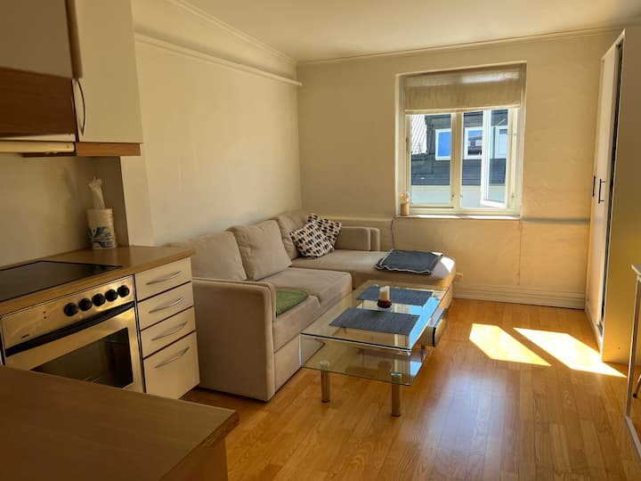 Cozy Apartment In The Heart Of Oslo - Oslo