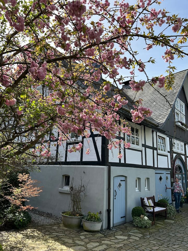 Fachwerkliebe Ornes 2 - Olsberg