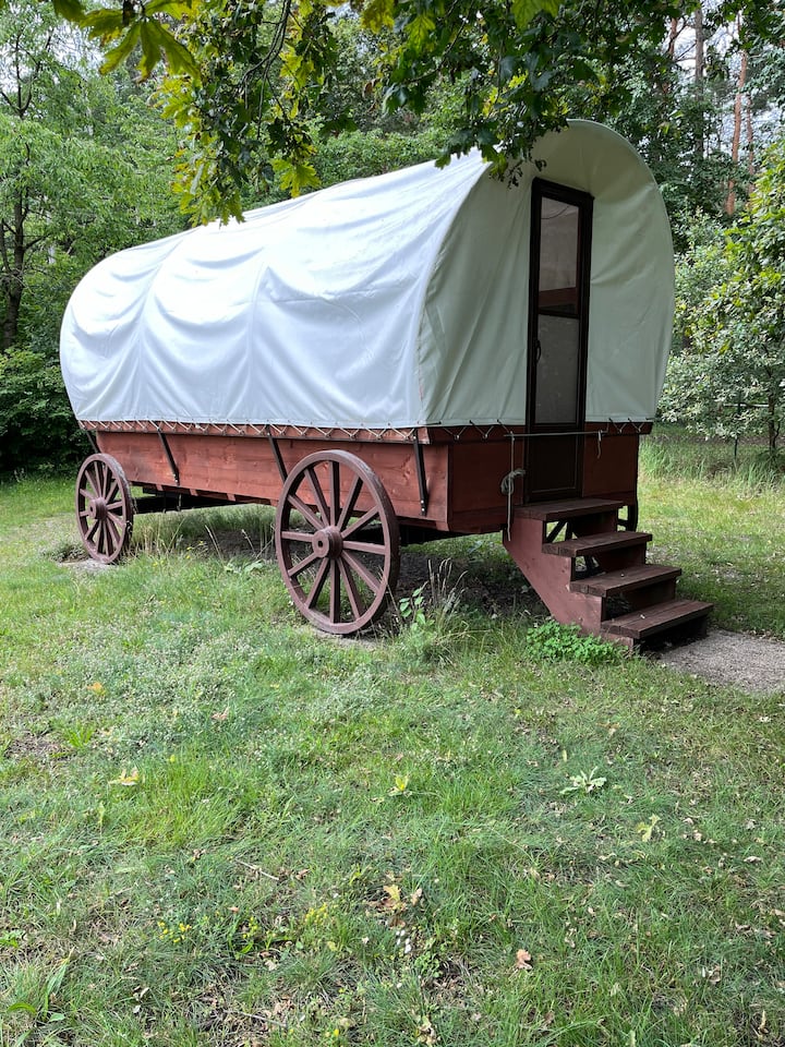 Kanadischer Planwagen - Burg (bei Magdeburg)