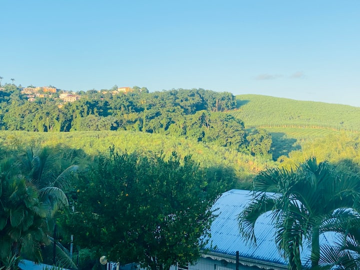 Appartement Cosy Pour Une Escale à Fort De France - Fort-de-France