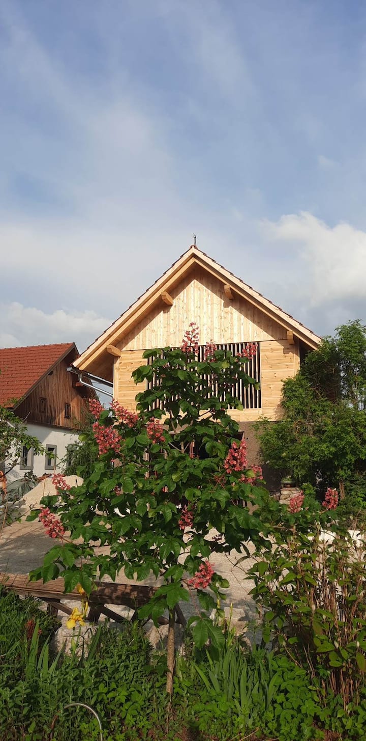 Apartma V Mestu Ivančna Gorica - Podgora