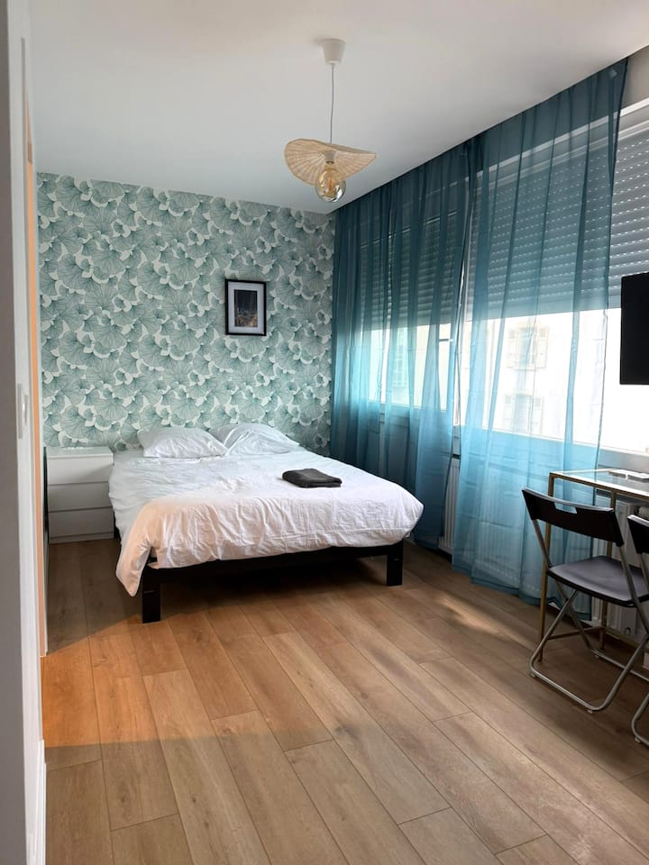 M111*marquer*charmant Studio Lumineux - Annemasse