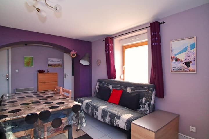 Charmant Appartement 45m² - Vue Panoramique - Vosges