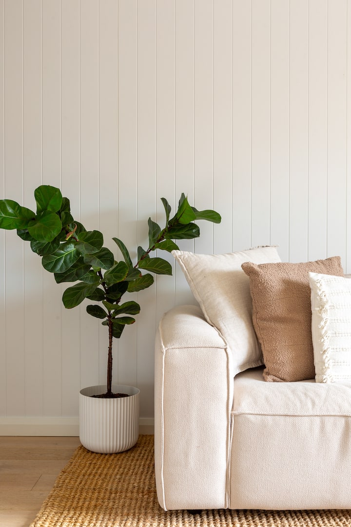 Dreamy Sunlit Retreat In Dee Why - Narrabeen