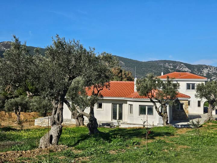 Villa Afroditi - Skiathos