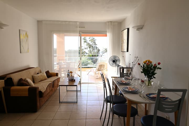 Les Sanguinaires N°12 - Vue Mer, Piscine Et Plage - Ajaccio