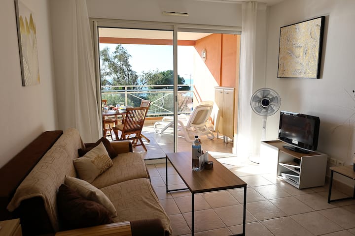 Les Sanguinaires N°12 - Vue Mer, Piscine Et Plage - Ajaccio