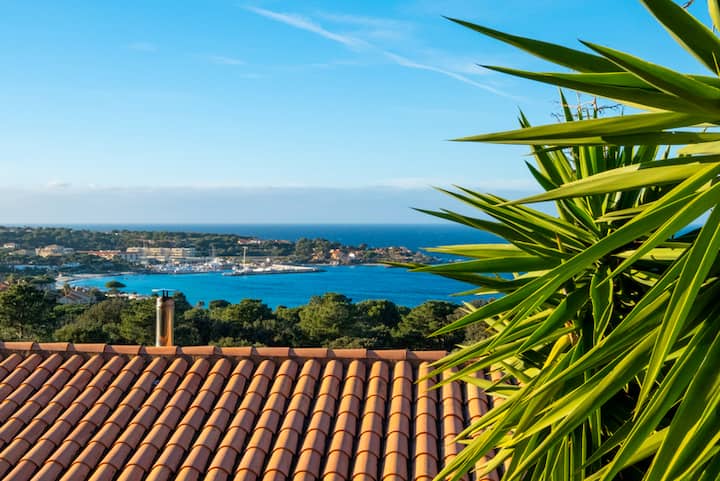 Appartement N°6 Vue Mer à Sant-ambroggio - Lumio