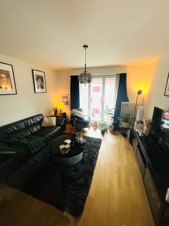 Charming Apartment For Esc Basel - Rheinfelden