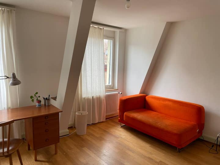 Cosy Apartment In The Center - Basel