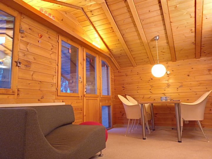Appartement à 50 M. Des Pistes - Grimentz