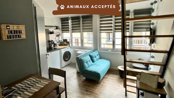 Au Calme | Centre | Animaux Acceptés | Fibre | Eco - Rouen