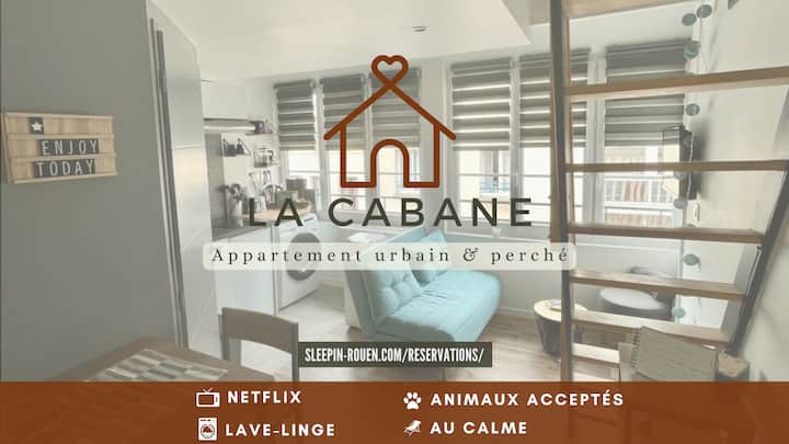 Au Calme | Hypercentre | Animaux Acceptés | Fibre - Rouen