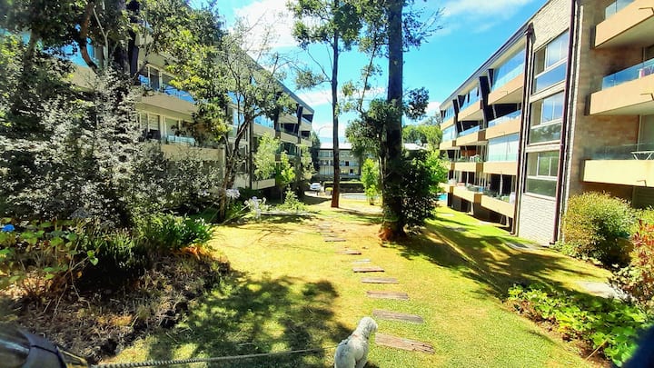 Departamento Con Todo En Pucón. - Pucon