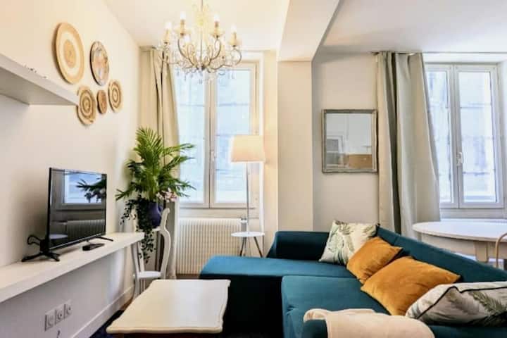 Cosy Queen - T4 Hyper Centre & Parking - Pau