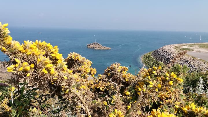 Jolie Maison à 10 Mins Des Plages De St Jacut - Saint-Jacut-de-la-Mer