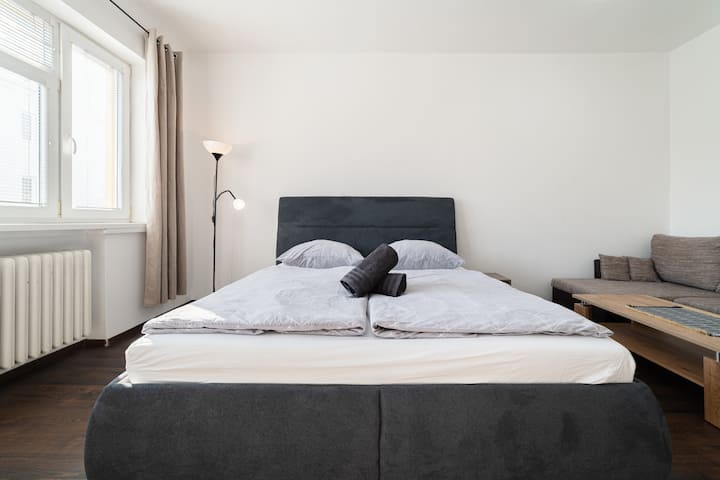 No.8, Spacious City Center Apartment - Bratislava